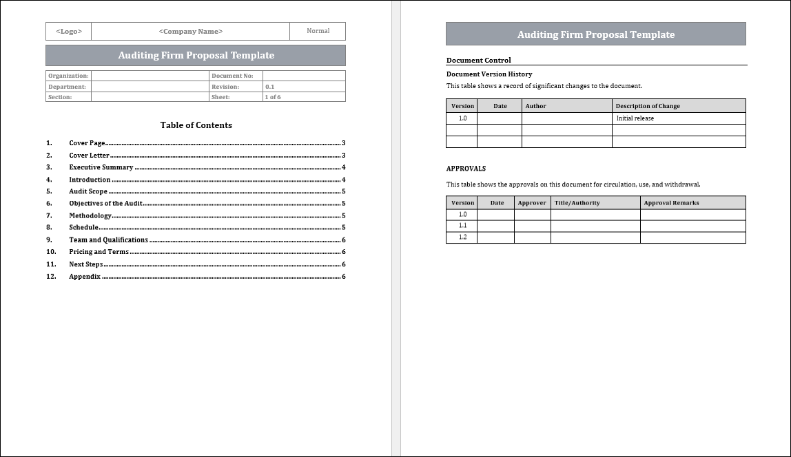 Auditing Firm Proposal Template Free Download – Consultant Docs